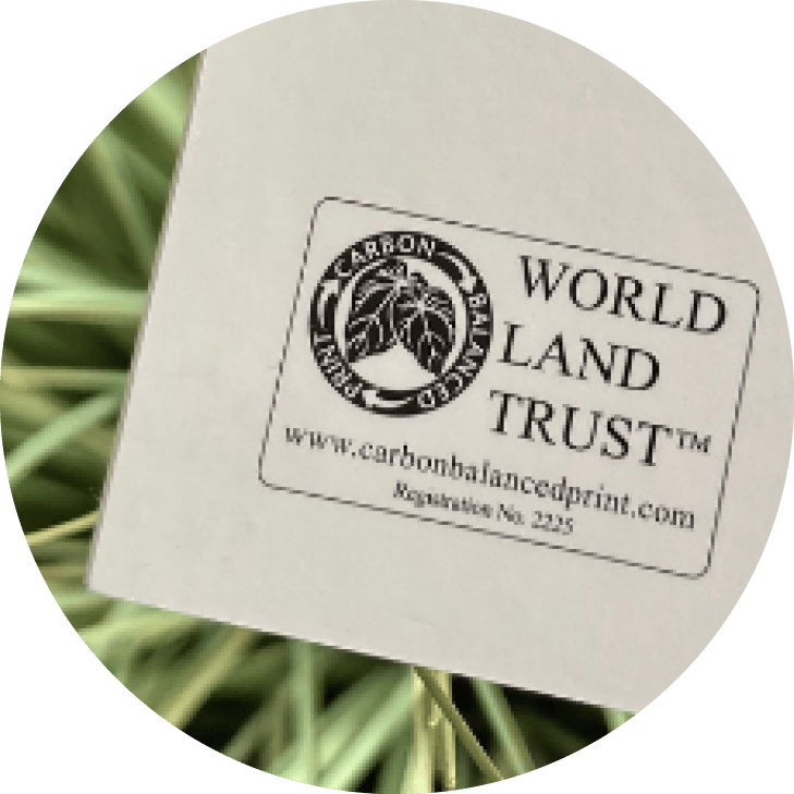 What is Foil Printing? - The Beginners Guide | B&B Press