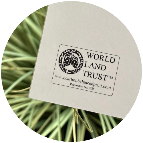 What Is Litho Printing? And Is It Still Relevant? | B&B Press